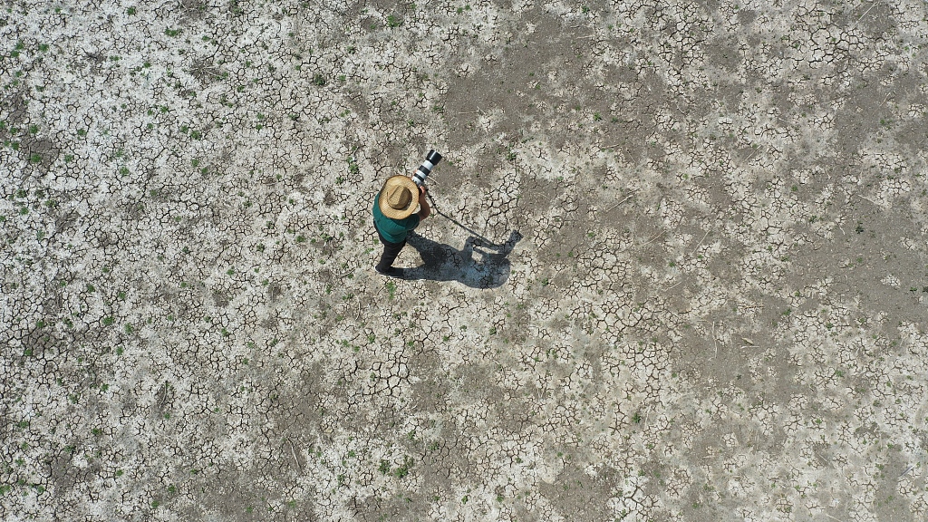 OBM: Bota po shkon në drejtim të gabuar për emergjencën klimaterike