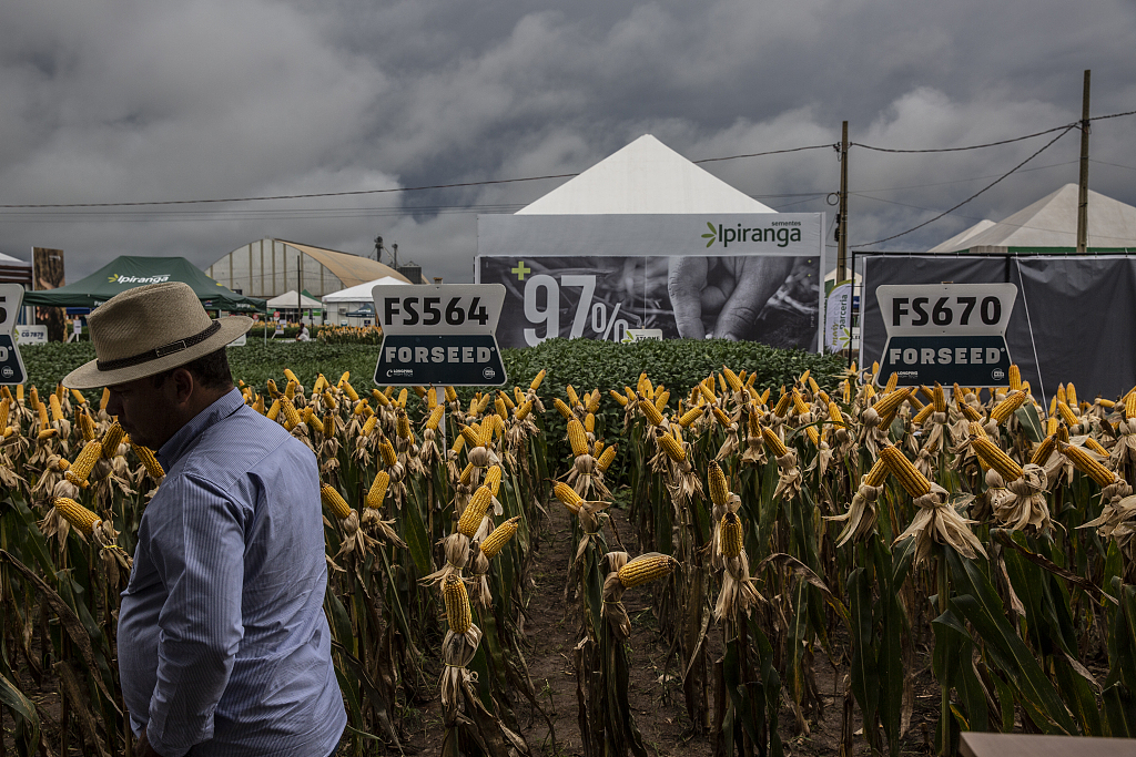 Bashkëpunimi ekonomik Kinë-Brazil lundron në mënyrë të qëndrueshme ...
