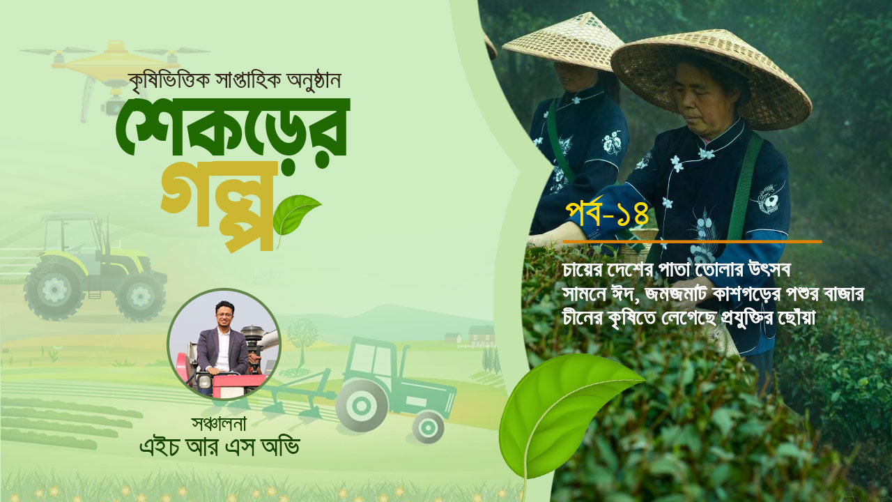 চায়ের দেশ চীন | শেকড়ের গল্প | পর্ব ১৪