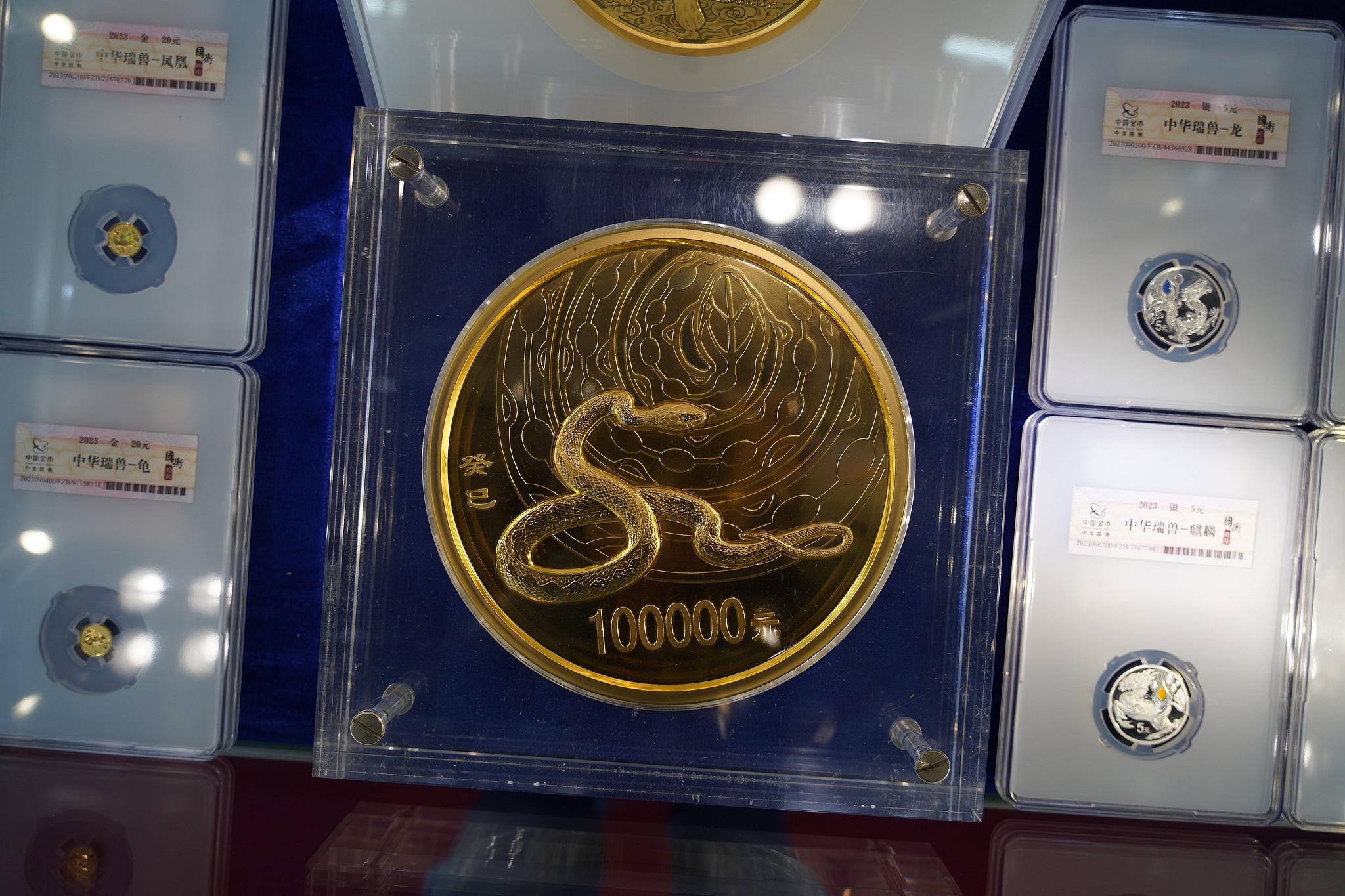 Kina do të emetojë monedha përkujtimore për Vitin e Gjarprit