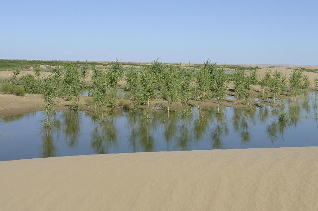 Rrugëtimi i Kinës për të çuar përpara gjelbërimin dhe shkretëtirëzimin